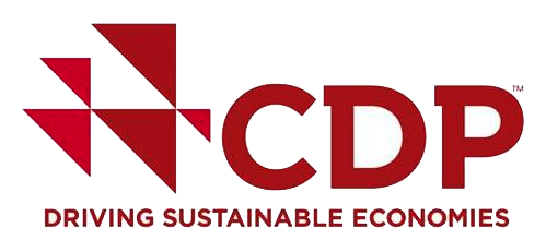 Sustainability Auditing