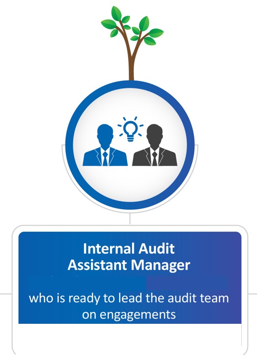 Internal Audit Assistant Manager Role